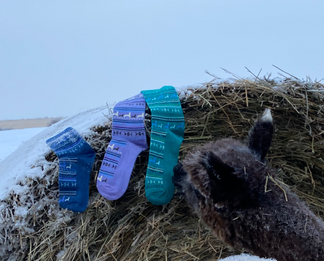 Alpaca Print Crew Sock – AlpacaLand